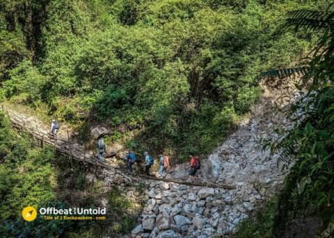 Dzongri Goechala Trek - Getting Closest to Kanchenjunga | T2B